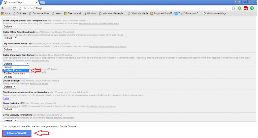 How to browse offline in Google Chrome without internet