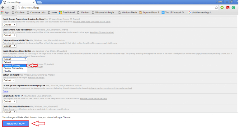How to browse offline in Google Chrome without internet