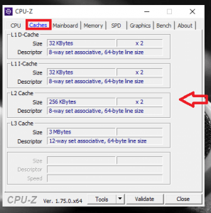 How to Determine Cache Size of Processor In Windows 10