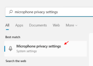Fix Skype Microphone Not Working in Windows 11/10 [Solved]