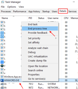 WinWord.exe Application Error, The application was unable to start