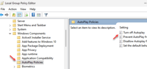 Fix Autoplay not working in Windows 10/11