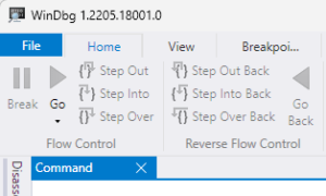How to read Memory Dump files in Windows 10 / 11