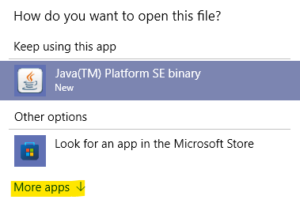 Unable To Run .JAR Files in Windows 10 / 11 ? Here's the Solution