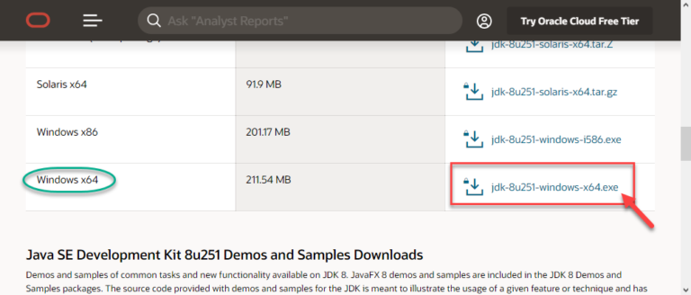 How to fix Javaw.exe error in Windows 10 / 11