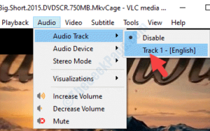 VLC Media Player Audio Not Working on Windows 10 Fix