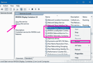 Fix - NVIDIA Container stopped working issue in Windows 10 / 11