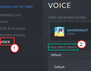 Steam Voice Chat is not working in Windows 10 PC Fix