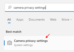 Webcam keeps freezing frequently in Windows 10/11 Fix