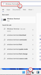 How to use Windows Terminal in Windows 11