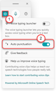 How to use voice typing feature in Windows 11 notepad