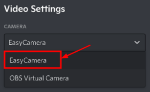 Fix: Discord Camera Not Working in Windows 11/10