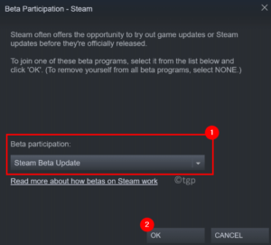 Fix Steam Error Code 102 and 137 on Windows 11/10