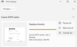 Fix: Printer is paused and can't resume it in Windows 11/10