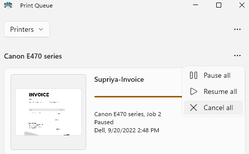 Fix: Printer is paused and can't resume it in Windows 11/10