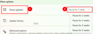 How to Pause And Resume Windows 11 Updates?