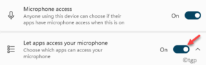 How to Turn On or Turn Off Microphone in Windows 11