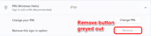 Fix: Hello Pin Remove Button not Clickable in Windows 11