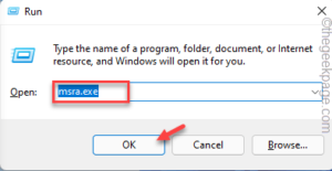 Fix Remote Desktop Error Code 0x204 on Windows 11 / 10