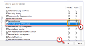 Fix Remote Desktop Error Code 0x204 on Windows 11 / 10