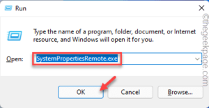 Fix Remote Desktop Error Code 0x204 on Windows 11 / 10