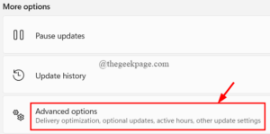 How to fix the Bad Image Error Status 0xc0000006 on Windows 11 / 10