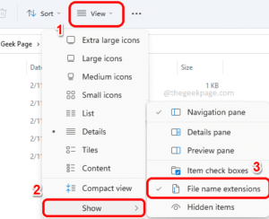 How to Open a File without an Extension in your Windows 11, 10