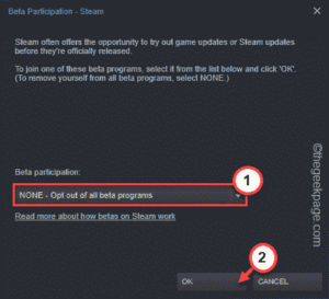 Steam App Already Running issue in Windows 11 / 10 Fix