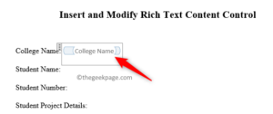 How to Insert / Modify a Rich Text Content Control in Microsoft Word