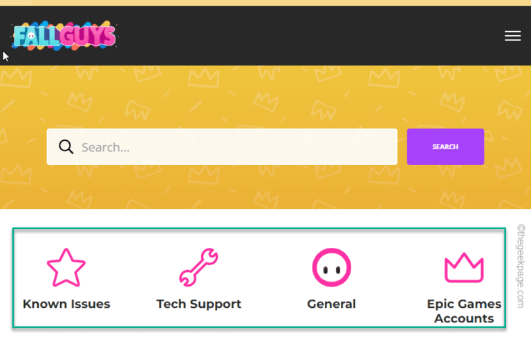 Fall Guys Error Code Error Code 200_001 in Epic Games issue Fixed
