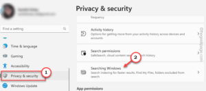 Search bar is crashing or closing unexpectedly on Windows 11 Fix