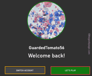 Minecraft Java Edition is not opening or installing Error 0xUnknownAppInstall