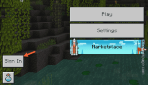 How to fix Invalid IP address issue in Minecraft