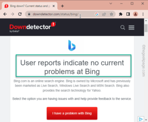 How to Fix Bing Chat not working in Windows 11/10