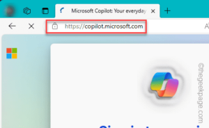 Can't access your webpage copilot error in Windows 11 : [Fix]