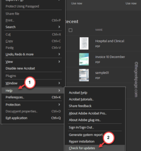 How to fix Adobe Acrobat Save as Blank Issue