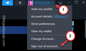 Access Denied error in Steam on Windows 11 : How to Fix