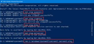 Something didn't go as planned in Windows 11 : Fix