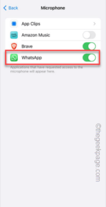 Cannot allow access to camera and microphone in iPhone