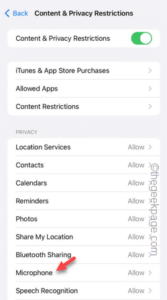 Cannot allow access to camera and microphone in iPhone