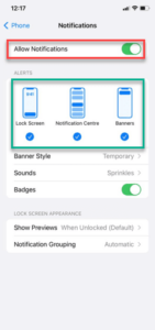 Incoming call not showing on iPhone screen: Fix