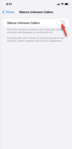 Incoming call not showing on iPhone screen: Fix