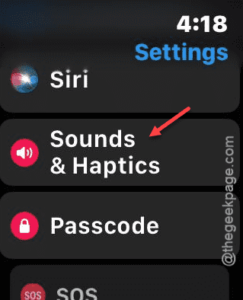 Apple Watch not vibrating on notifications - How to Fix