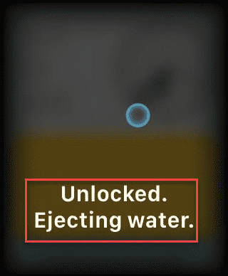 Water got into the Apple Watch - How to fix