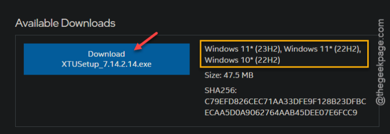 Error Code 0x00001338 in Call Of Duty on Windows 11 : Fix