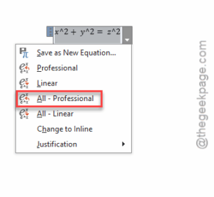 Microsoft Word Equation not converting to professional format - How to fix