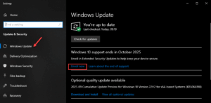 Windows 10 ESU Option is Missing - How to fix