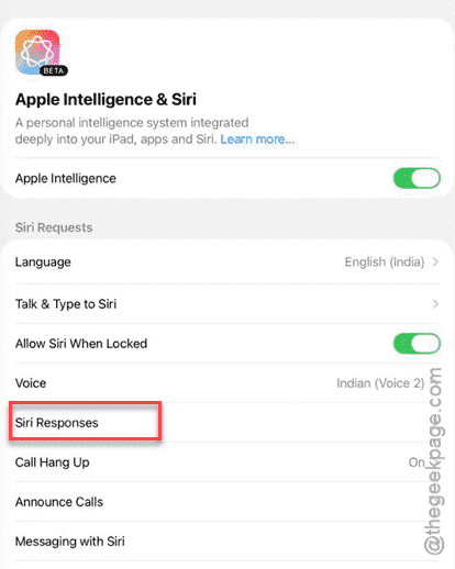 Siri does not respond or answers correctly - Fixed